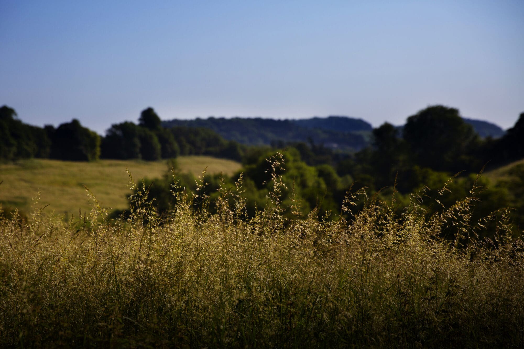 Waterside Valley • Somer Valley Rediscovered • B&NES Council