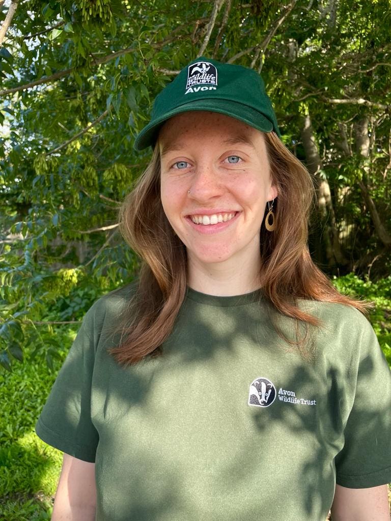 Nextdoor Nature Somer Valley Project • Somer Valley Rediscovered