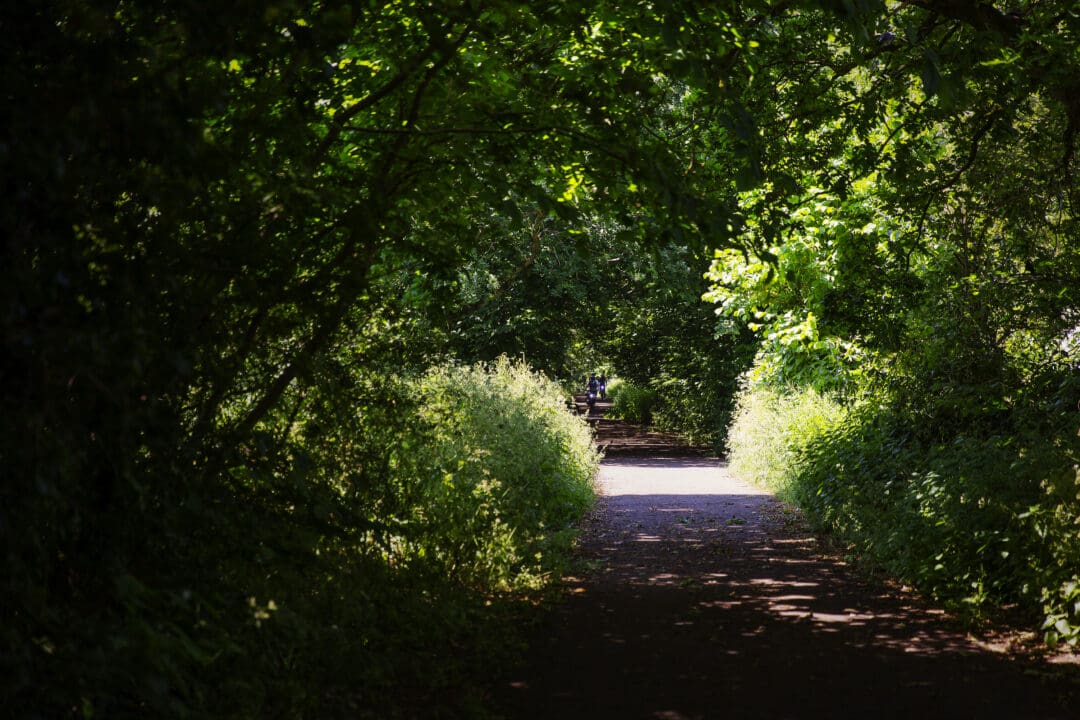 Nextdoor Nature Somer Valley Project • Somer Valley Rediscovered