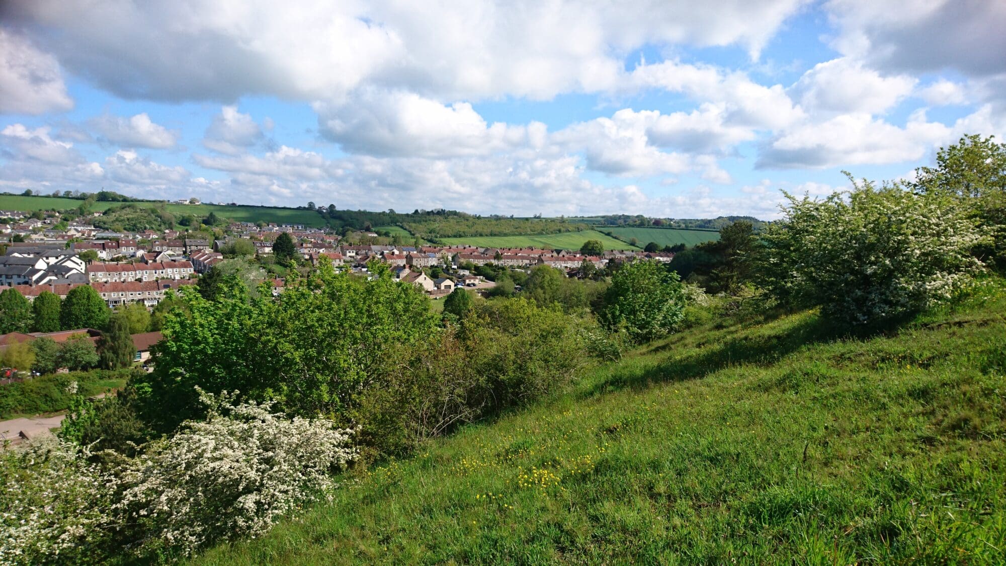 Nextdoor Nature • Somer Valley Rediscovered